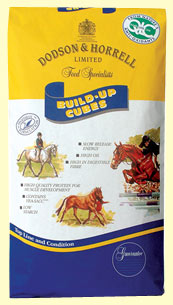 Build Up Cubes: The Animal Files