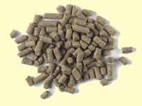 Build Up Cubes: The Animal Files