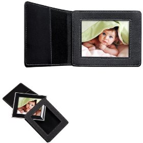 Coby DP240 2.4 inch Digital Photo Album with MP3 Player: The Animal Files