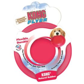 Kong Flyer: The Animal Files