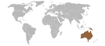 Short-Beaked Echidna: The Animal Files