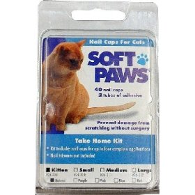 Soft Paws: The Animal Files